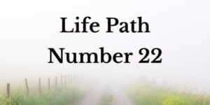 Life Path 22: The Manifester - truly divine